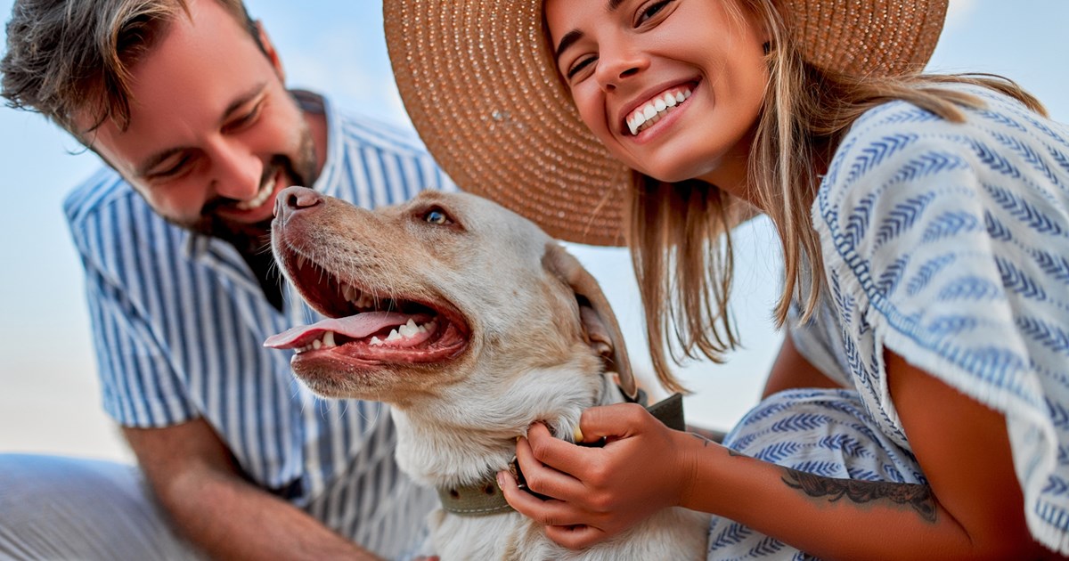 Εσείς τι είστε: DINK, DINKWAD ή DINKWAC; Τα ζευγάρια μένουν μαζί αλλά ...